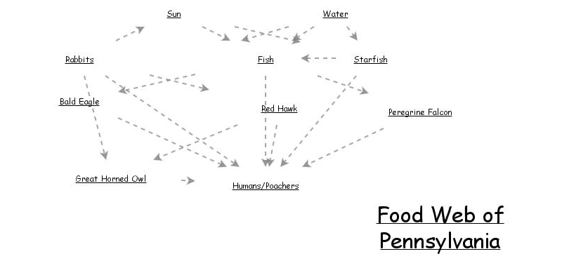 Food Web of Pennsylvania | Insight Maker