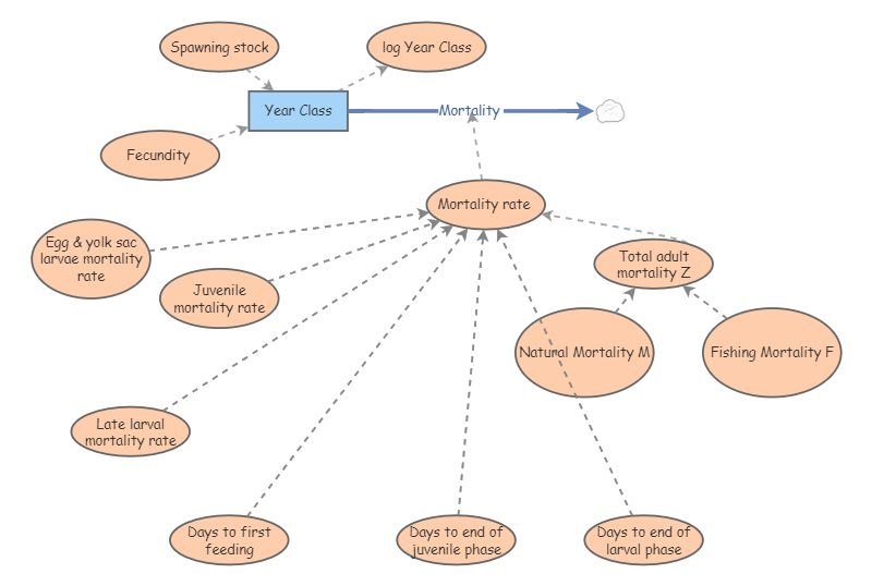 Variable mortality 1st year | Insight Maker