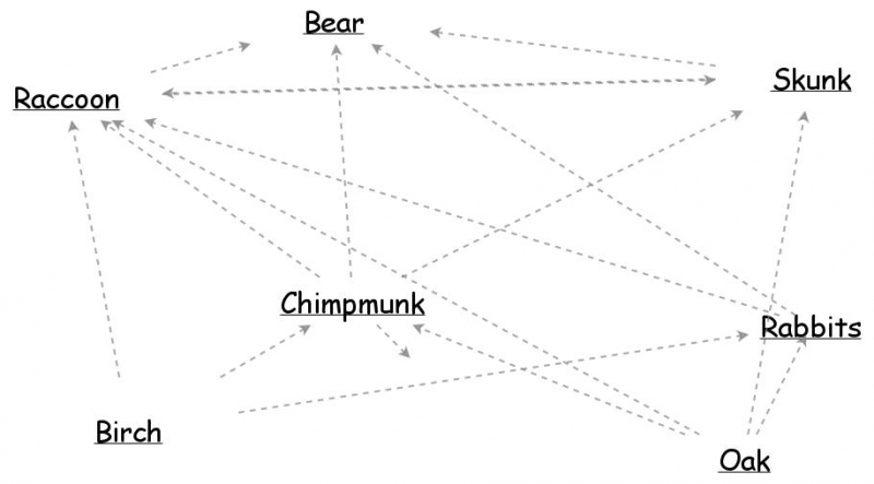 Food Web Temperate-Gage | Insight Maker