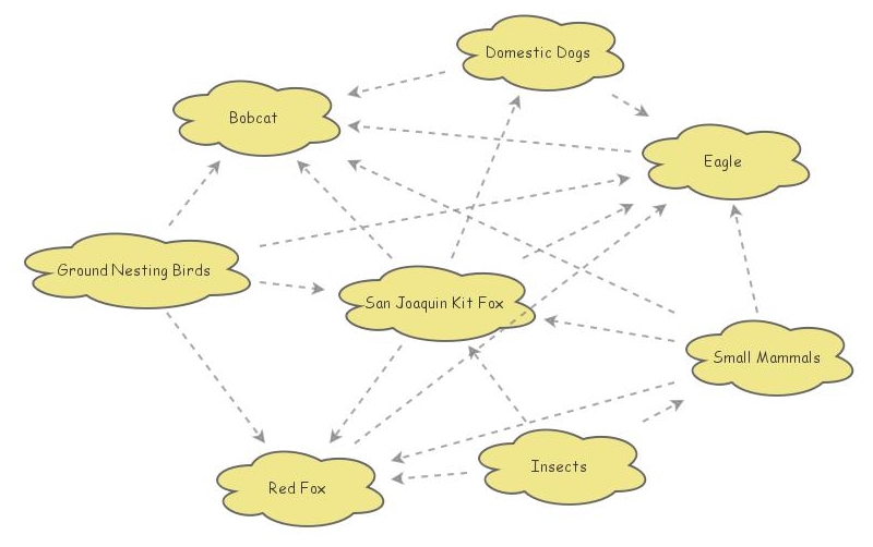 San Joaquin Kit Fox Food Chain | Insight Maker