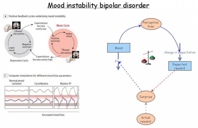 Mood instability in biploar disorder | Insight Maker
