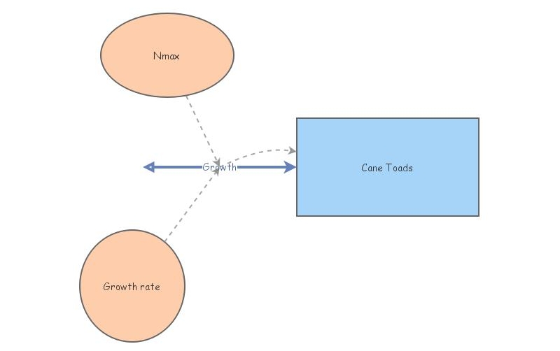 Cane Toads | Insight Maker