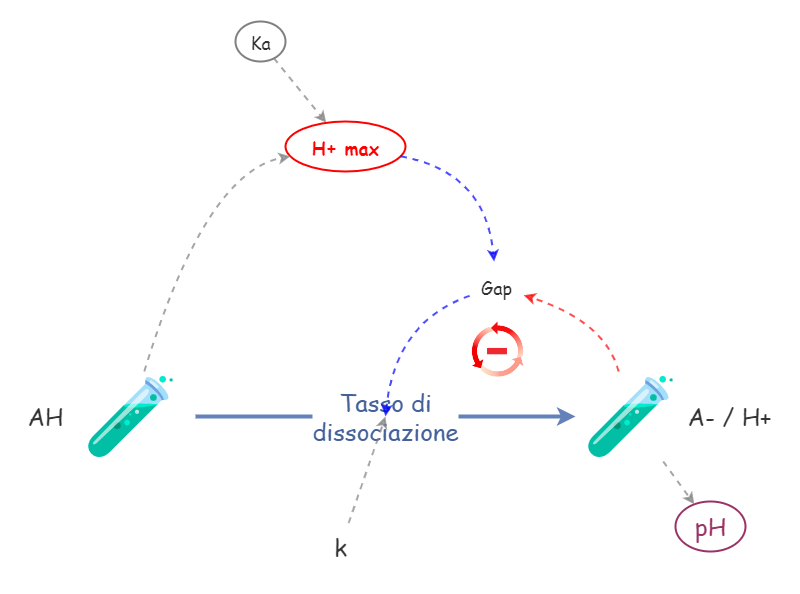 Calcolo del pH di un acido debole | Insight Maker
