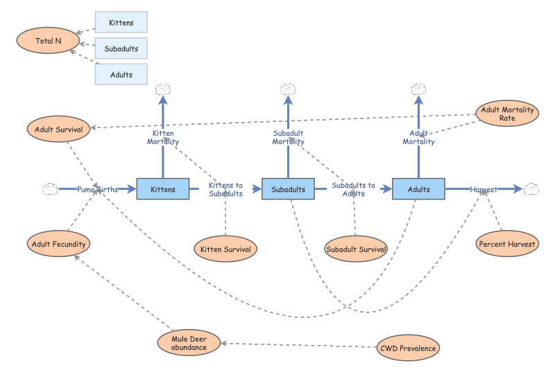 Clone of Final Model: Puma Stage Structure | Insight Maker