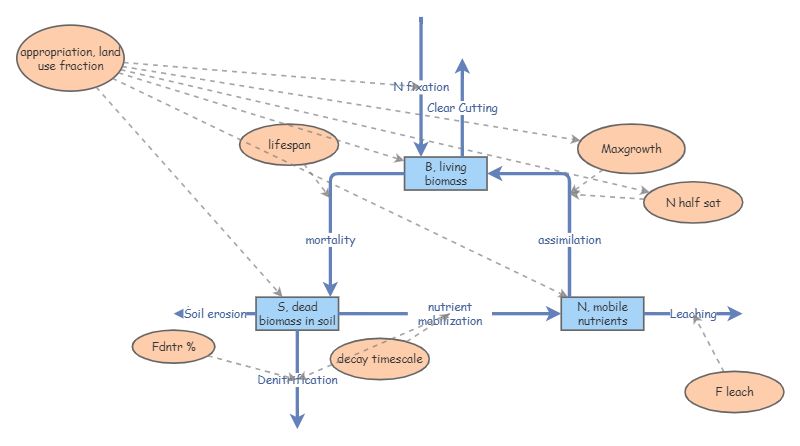 Terrestrial N cycle model template 20 | Insight Maker