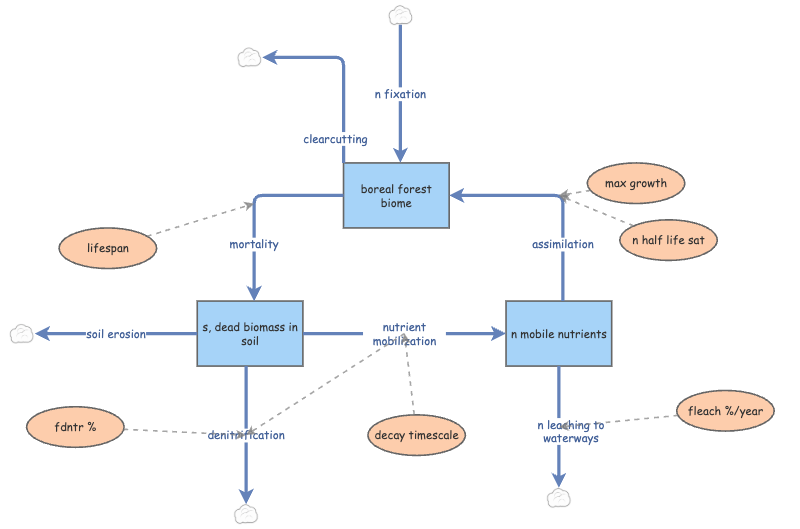 boreal forest | Insight Maker
