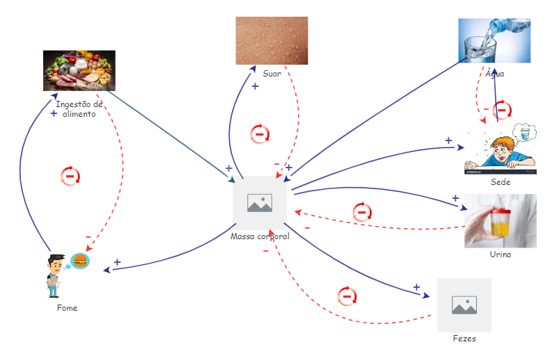 TCC - ACT 3 | Insight Maker