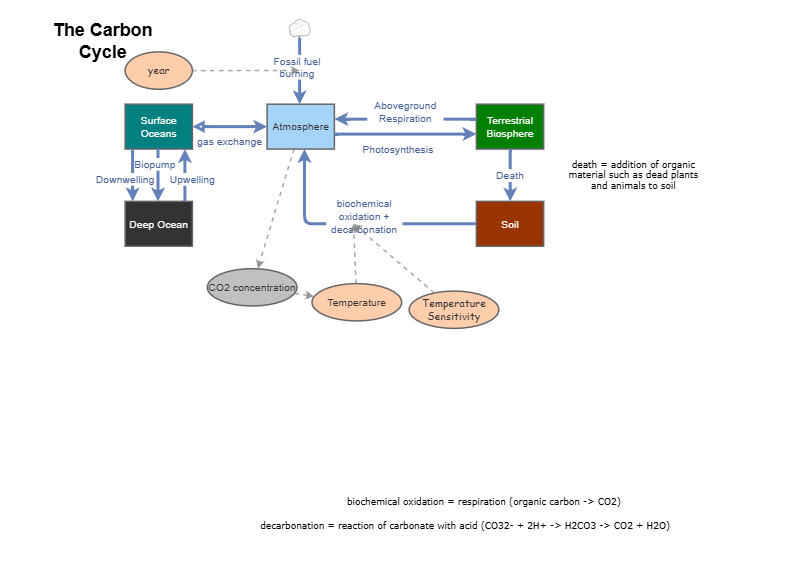 ACTIVITY 5 C Cycle 1 | Insight Maker