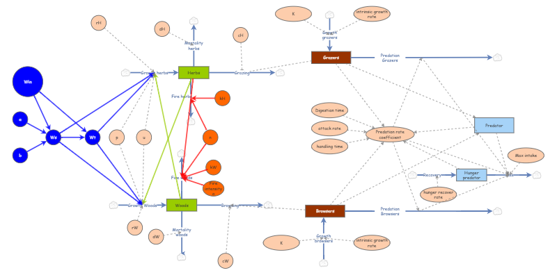 Savanna model - assignment 2 | Insight Maker