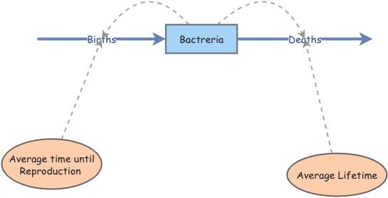 Building a model simulation | Insight Maker