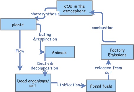 Carbon Stock and Flow Chart | Insight Maker