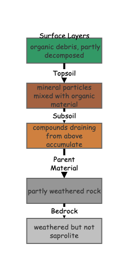Soil Secondary Sucession Feedback | Insight Maker
