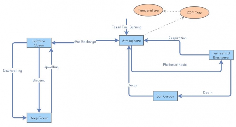 Carbon Cycle | Insight Maker