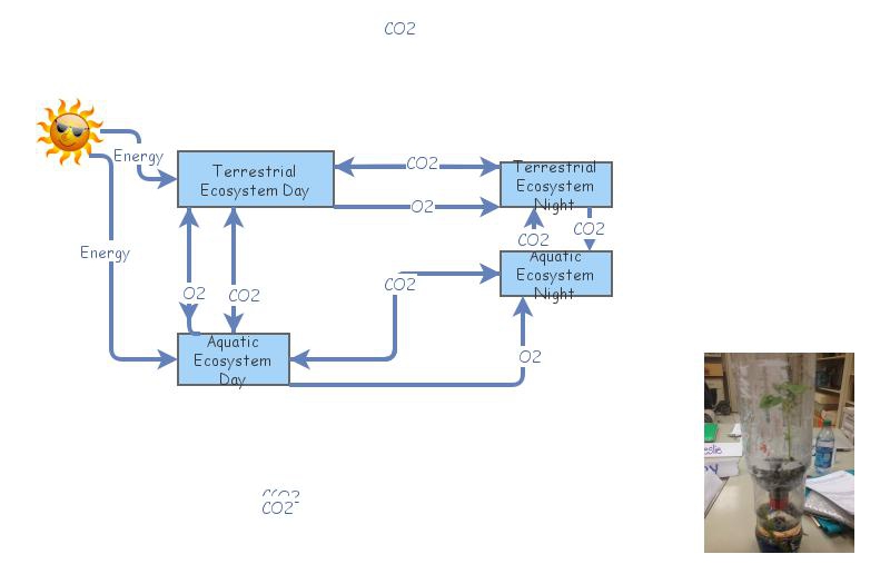 Clone of ecosystem practice | Insight Maker