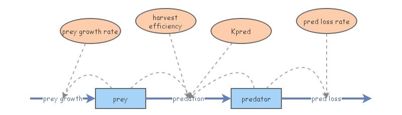 predator prey | Insight Maker