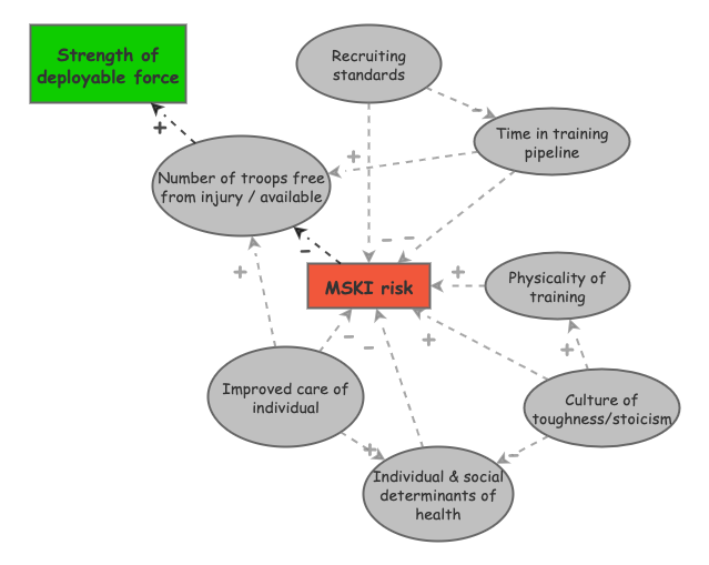 Clone of Systems approach to MSKI risk | Insight Maker
