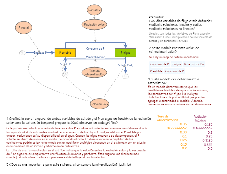 Ejercicio Fosforo repaso | Insight Maker