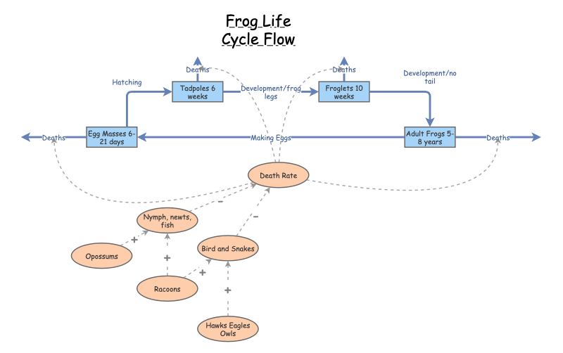 Clone of Frog Cycle Flow Chart | Insight Maker