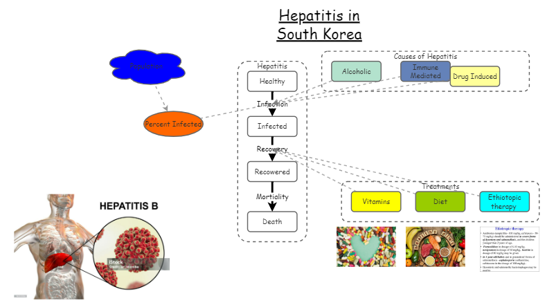 Anel Hepatitis | Insight Maker