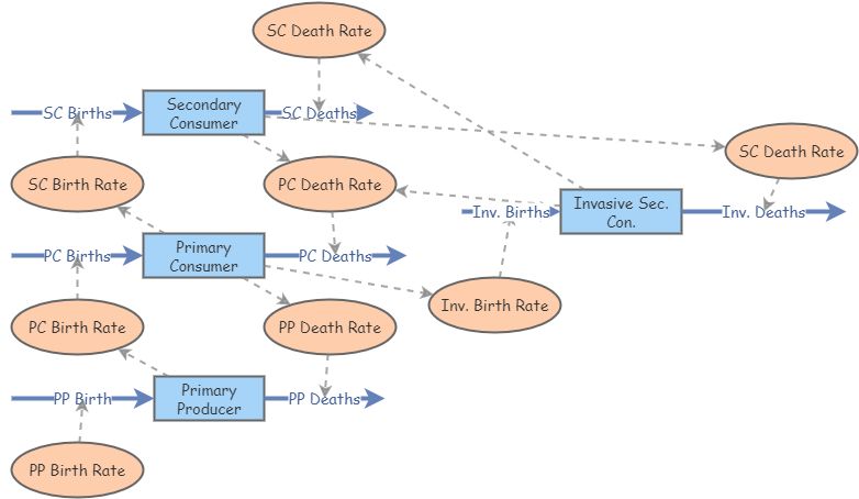 Species Community/Food Chain w/o Invasive Species Introduction | Insight Maker