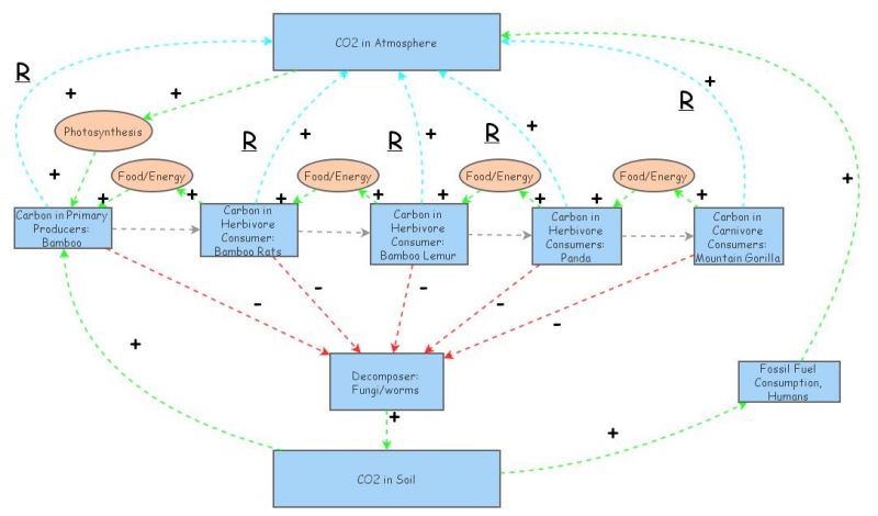 Carbon Cycle | Insight Maker
