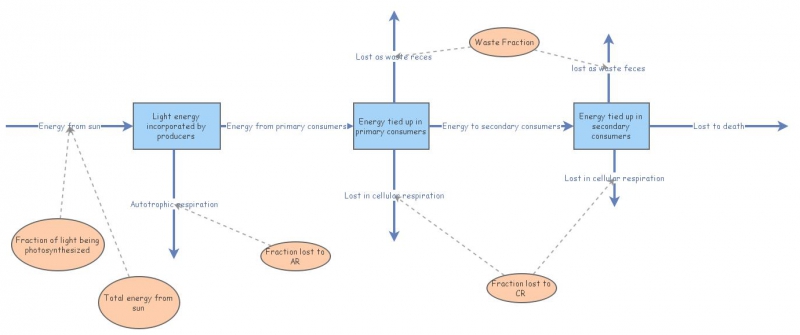 Trophic Levels Insight | Insight Maker