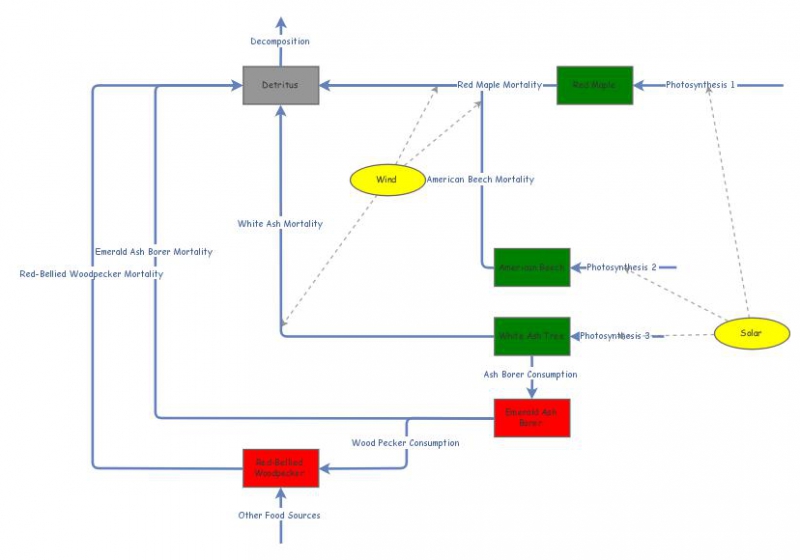 Ecosystem Model | Insight Maker