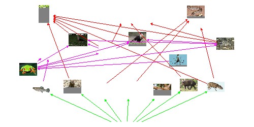 Science Food Web | Insight Maker