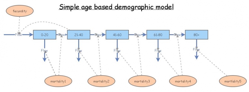 Simple age based demographic model | Insight Maker