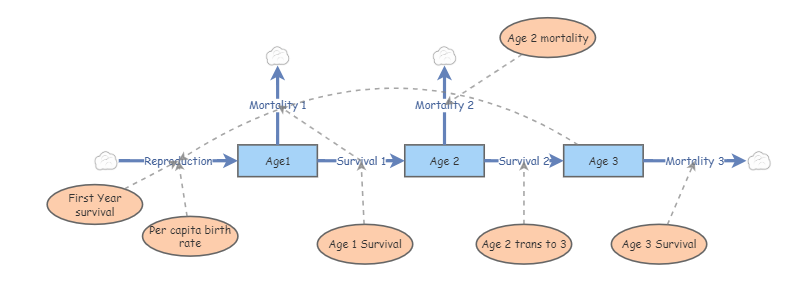 Stage-Structured Projection Matrix | Insight Maker