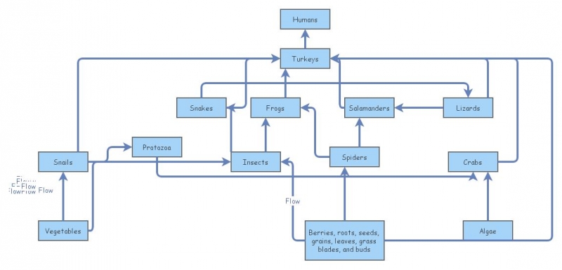 Turkey Food Chain | Insight Maker