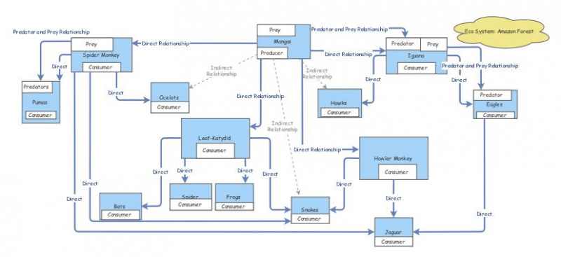 Amazon RainForest food web | Insight Maker