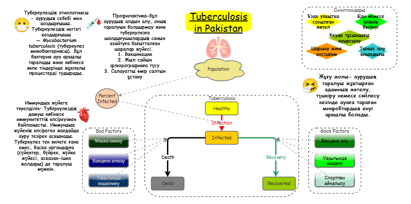 Өзіндік жұмыс агенттік | Insight Maker