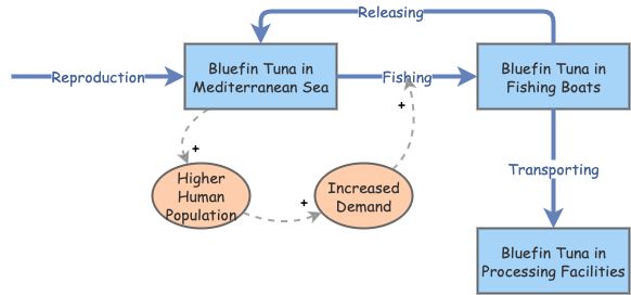 Overfishing-Group Project | Insight Maker