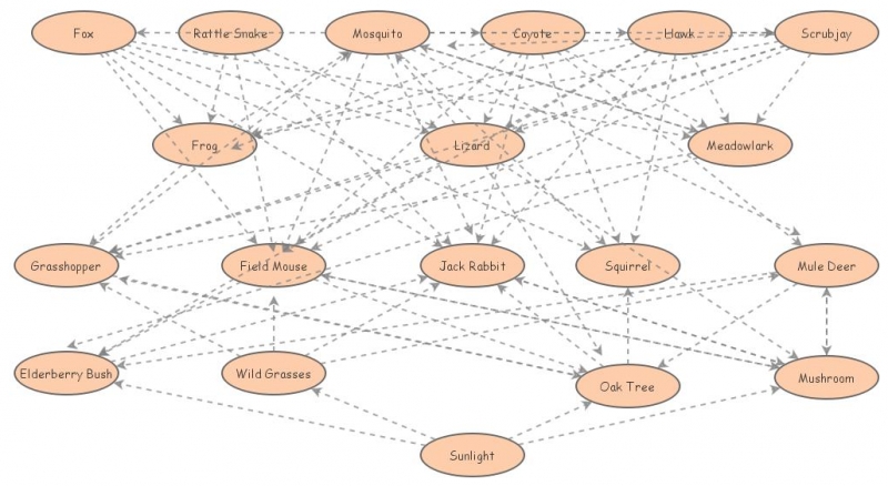 Clone of Food web assignment | Insight Maker