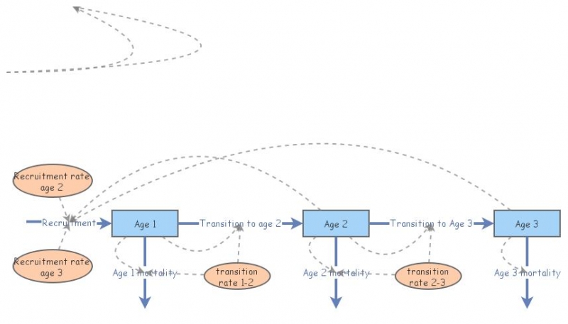 age structure lab 3 | Insight Maker