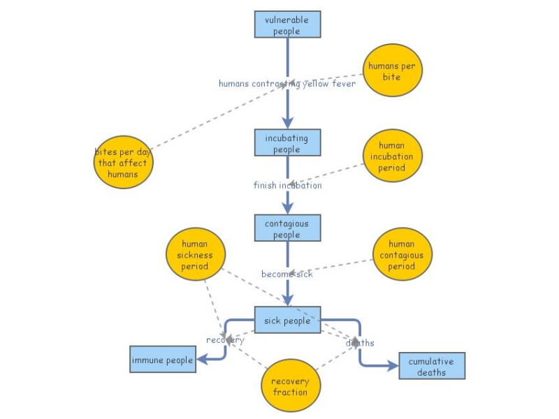 hw 4: Human model | Insight Maker
