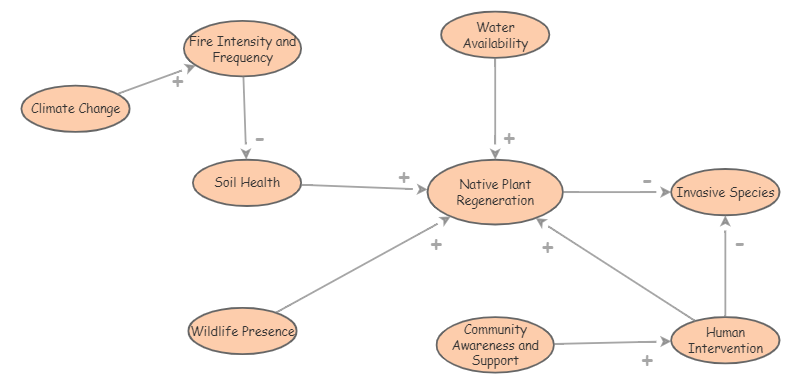 Native plant regeneration | Insight Maker