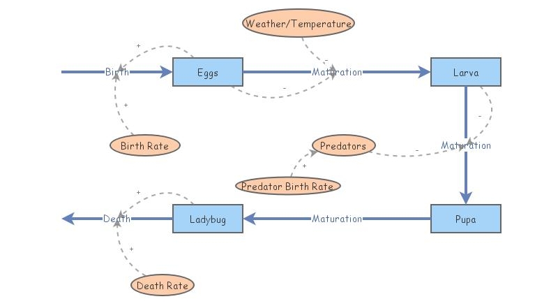 ladybug pop | Insight Maker