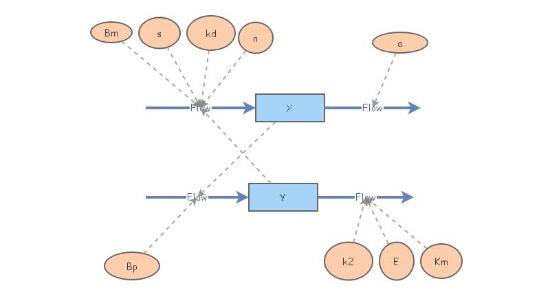 phase plane exercise class | Insight Maker