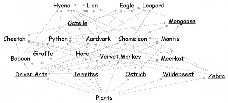BrainPop Food Fight Baboon Food Web | Insight Maker