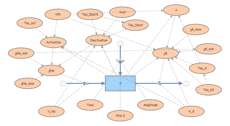 Clone of Clone of Basic Cell Model | Insight Maker
