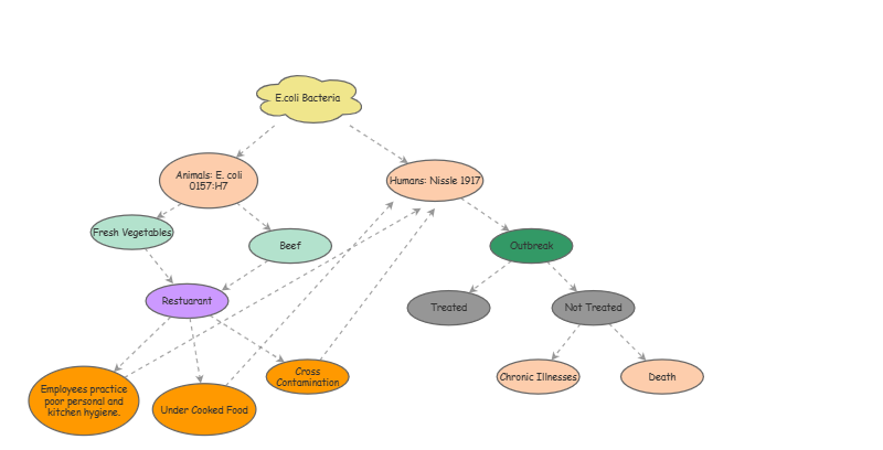 My Insight | Insight Maker