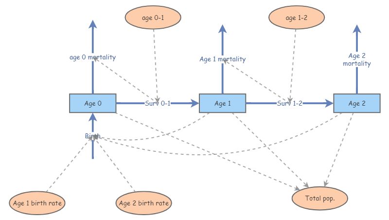 Lab 3: age-structured population growth | Insight Maker