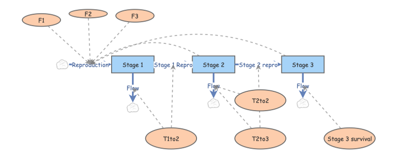 Stage-Structure | Insight Maker