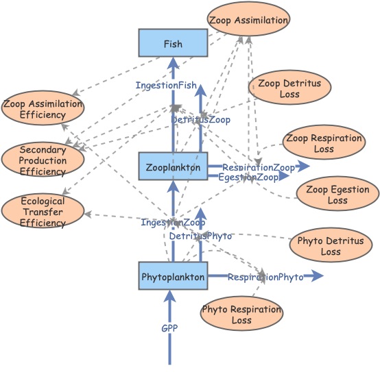 Food Web Model | Insight Maker