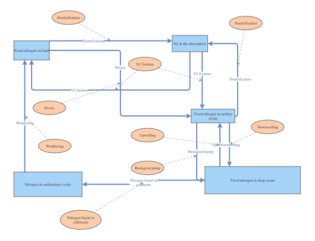Nitrogen cycle | Insight Maker