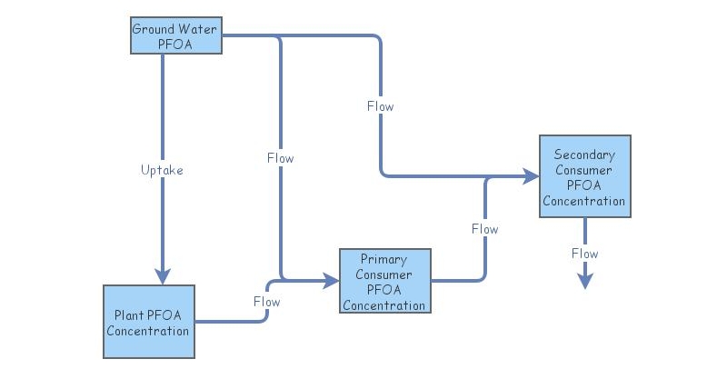 PFAS Biomagnification | Insight Maker