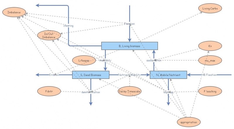 quiz 4 N model by Wolf | Insight Maker
