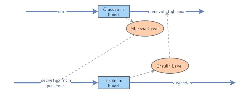 Clone of Insulin Glucose Student Start | Insight Maker